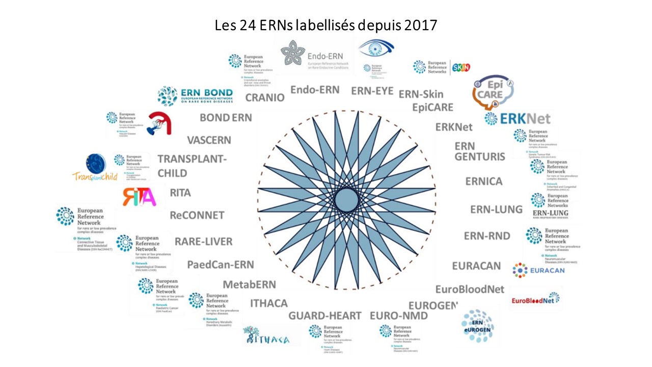 Les ERN (European Reference Networks) – CRMR des maladies auto-immunes ...